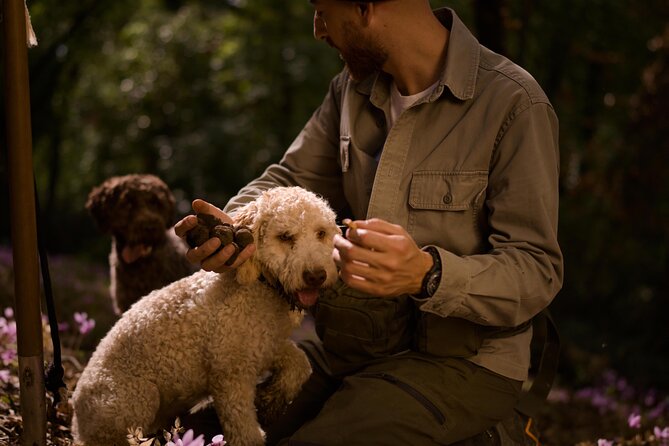 Truffle Hunting, Lunch & Cooking Class in Romes Countryside - Guided Tour With Expert and Skilled Truffle-Hunting Dog