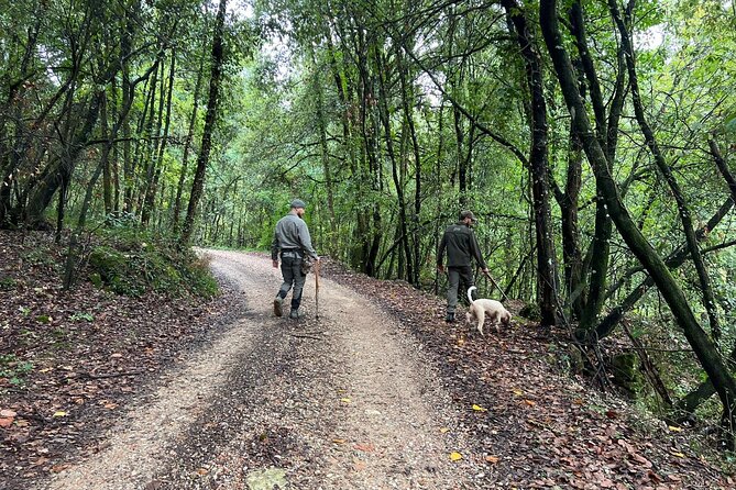 Truffle Hunting, Lunch & Cooking Class in Romes Countryside - Intimate Group Size for Personalized Experience