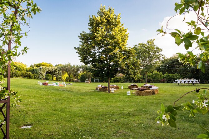 Truffle Hunting, Lunch & Cooking Class in Romes Countryside - Hands-On Pasta and Tiramisu Cooking Class