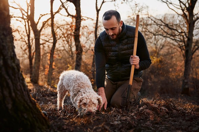 Truffle Hunting Near Rome - Customer Feedback and Testimonials