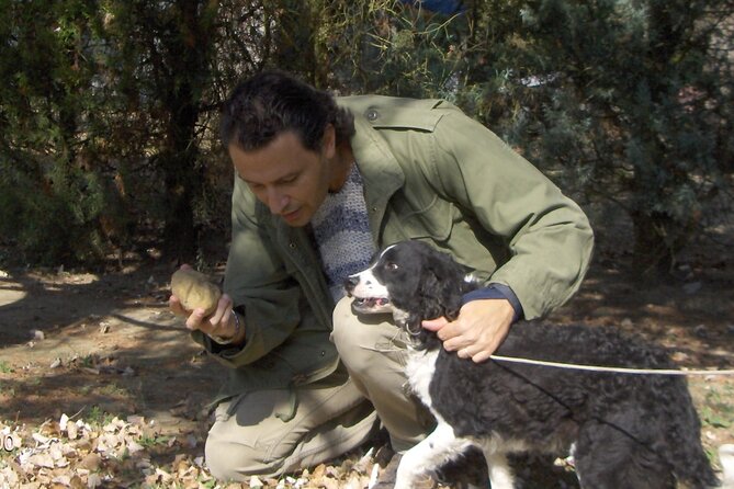 Truffle Hunting & Tasting in San Miniato Tuscany With Dogs - The Truffle Hunting Experience