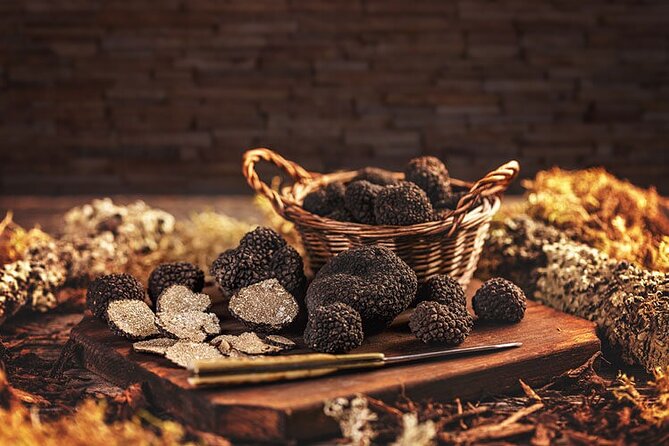 Truffle hunting tour from Rijeka - The Experience Breakdown