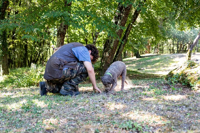 Truffle Hunting & Truffle Cooking Class - Authenticity and Overall Impression