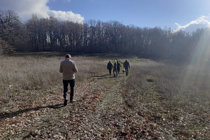 Truffle Hunting With Food Tasting - Discovering the Unique Flavors of Truffles