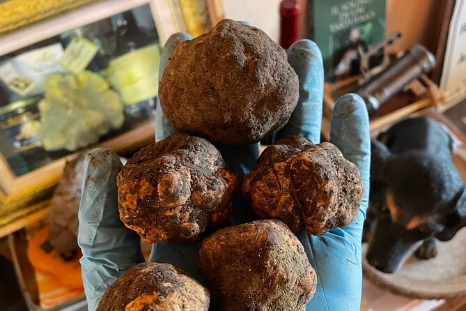 Truffle Hunting With Food Tasting - Booking and Pricing Information