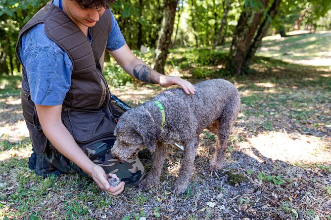 Truffle Lunch & Hunting Experience in San Gimignano - Insights From Travelers: Reviews and Recommendations