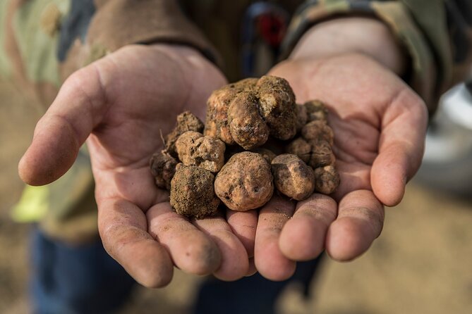 Truffle Lunch & Hunting Experience in San Gimignano - Preparing for Your Truffle Hunting Adventure
