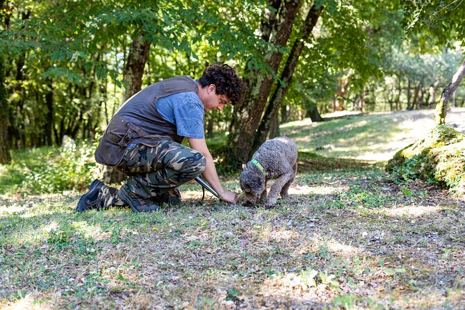 Truffle Lunch & Hunting Experience in San Gimignano - Additional Information and Booking Details