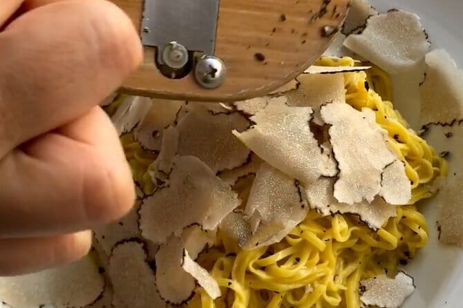 Truffle Picking Experience with 3 Course Meal in Chianti hills - Practical Details and Considerations