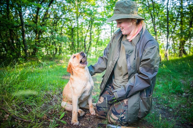 TRUFFLES: Hunting & Tasting in Istria, Slovenia - Key Points