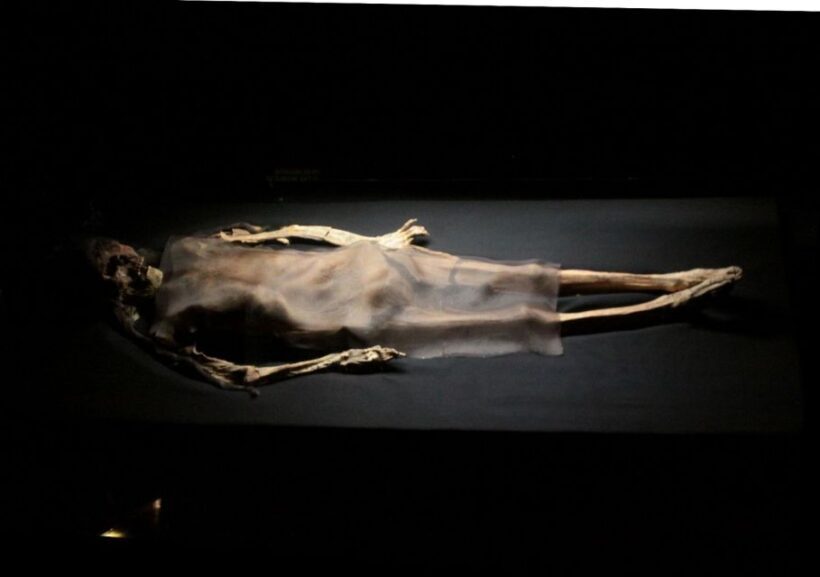 Trujillo: El Brujo Complex Archaeological Tour with Tickets - The Sum Up