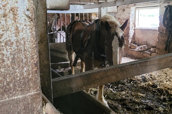 Truly Authentic Lancaster Experience! - Discover the Historic Fulton Theatre