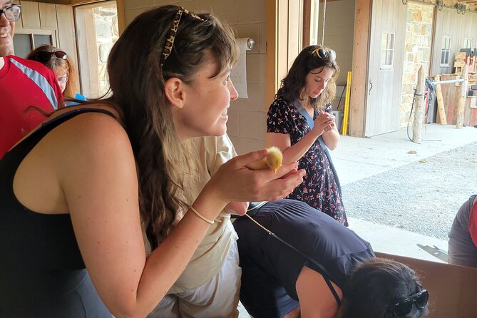 Truly Authentic Lancaster Experience! - Uncovering Hidden Gems in Lancaster