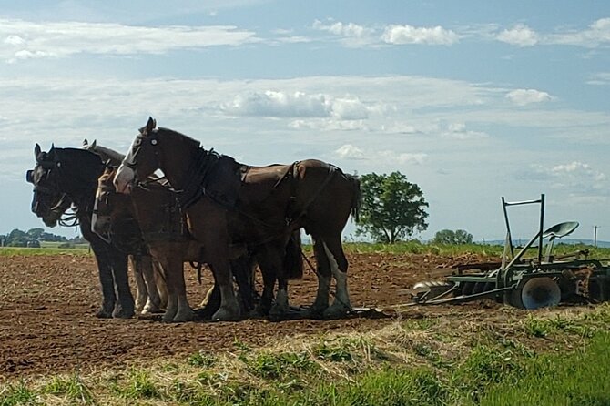Truly Authentic Lancaster Experience! - Indulging in Local Desserts and Sweet Treats