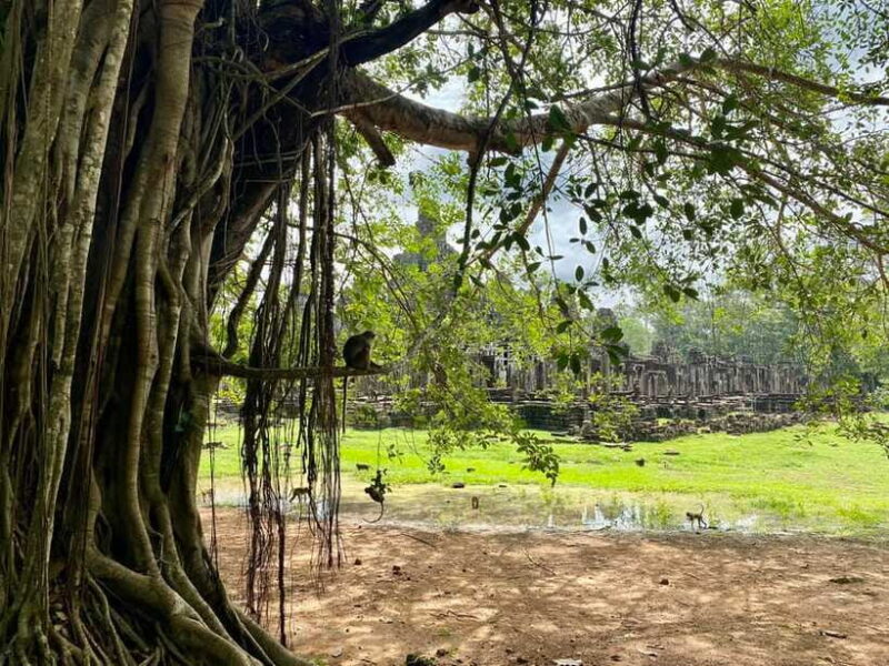 Trusty Tuk Tuk - FAQ