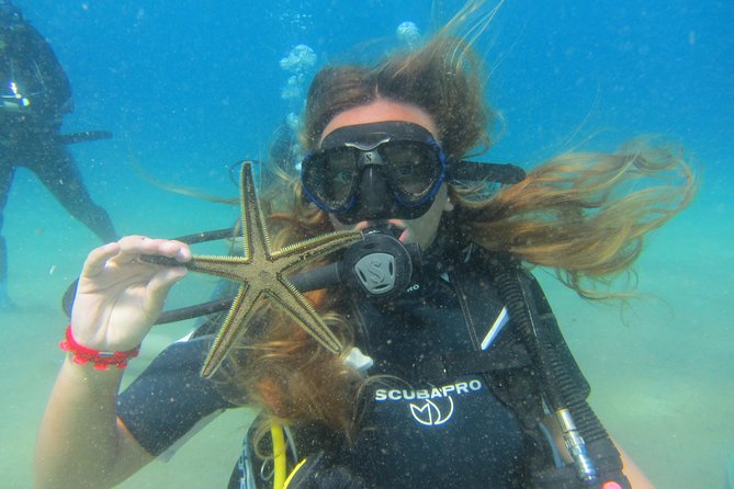 Try a DIVE, Discover Scuba Diving in Mykonos - Exploring Lia Reef