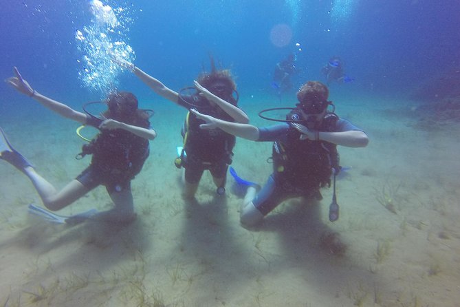 Try a DIVE, Discover Scuba Diving in Mykonos - Meeting Details and Additional Info