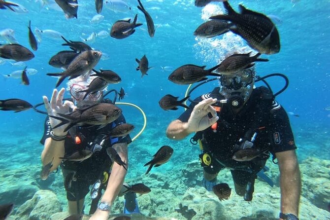 Try a Scuba Diving Experience - The Environment and Scenery