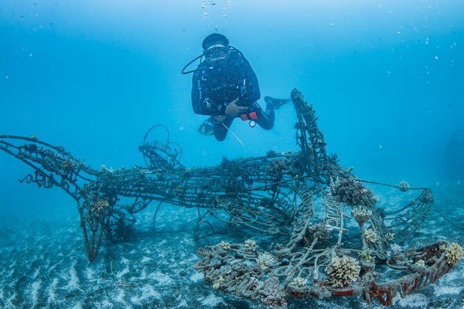 Try Dive Program in the Biorock Pemuteran - Key Points