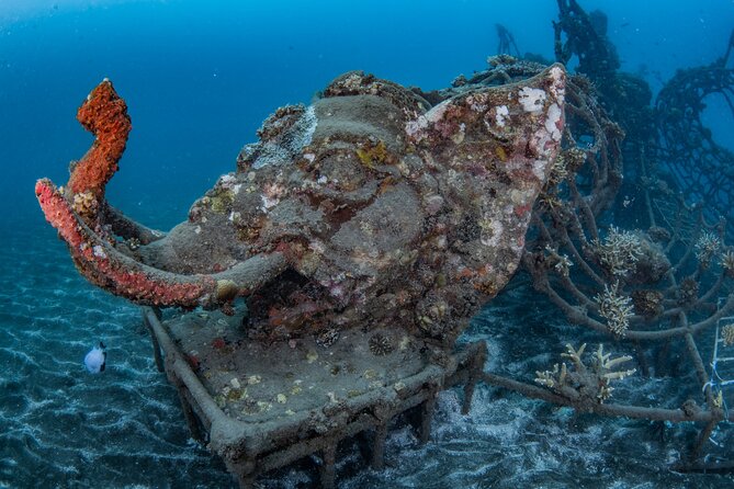 Try Dive Program in the Biorock Pemuteran - Final Thoughts