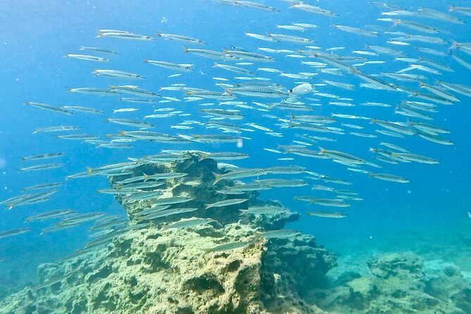 Try Dive - Scuba Diving with a private guide, incl. photos - Why Choose This Experience?