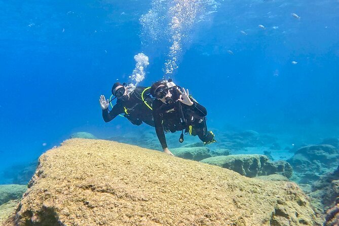 Try Dive - Scuba Diving with a private guide, incl. photos - Who Is This Tour Best For?