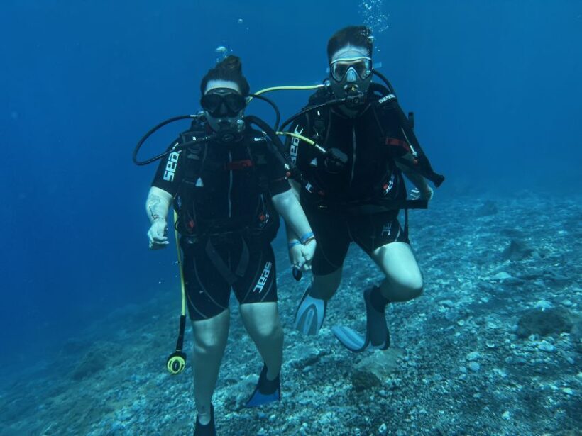 Try diving for the first time in turtle area - Why This Tour Stands Out