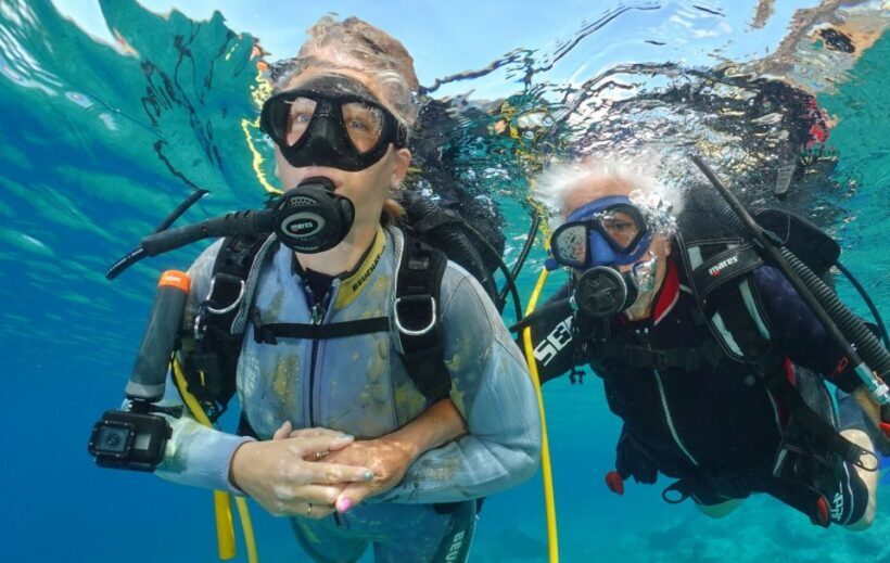 Try diving for the first time in turtle area - What To Bring and Considerations