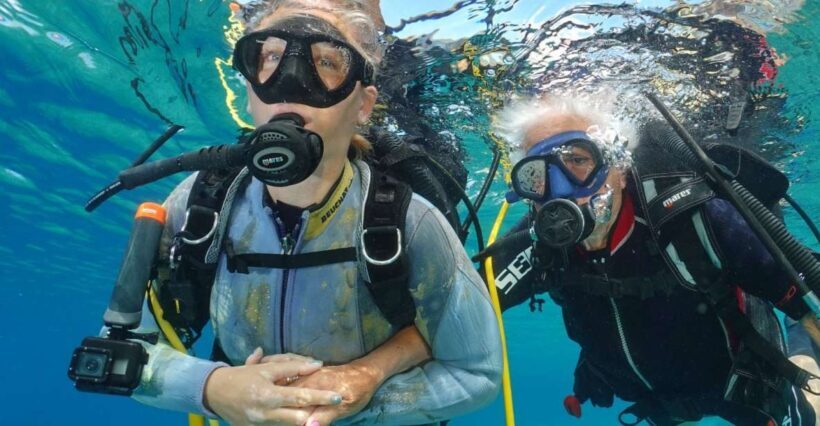 Try diving for the first time in turtle area - Who Should Consider This Experience?