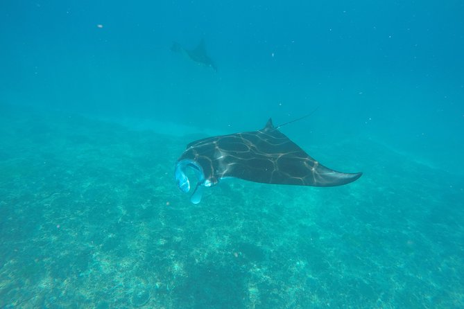 Try Diving in Manta Point - Nusa Penida - Introduction