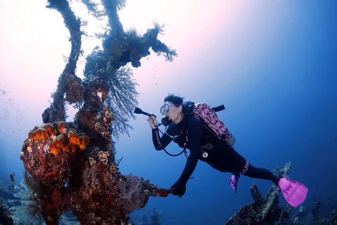 Try Diving in Tulamben - Shipwreck - Final Thoughts