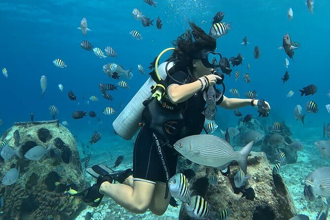 Try diving without previous experience from shore - An Authentic Introduction to Underwater Adventures in Cozumel