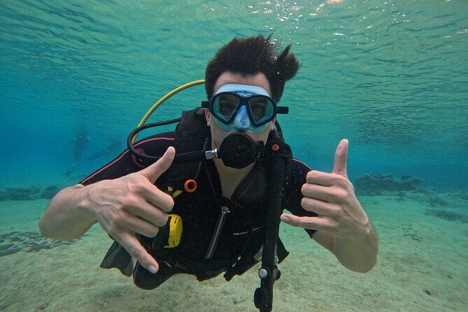 Try diving without previous experience from shore - The Experience and Its Benefits