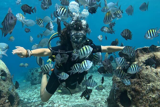 Try diving without previous experience from shore - Authentic Feedback from Past Participants