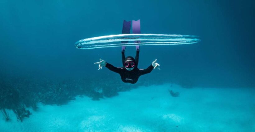 Try Free Diving in the Island of the Big Blue - Final Thoughts: The Value of a Beginner Freediving Experience