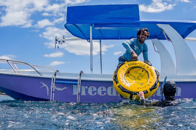 Try Freediving on Nusa Penida - Who Will Love This Tour?