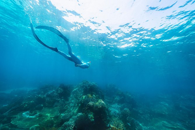 Try Freediving on Nusa Penida - FAQ