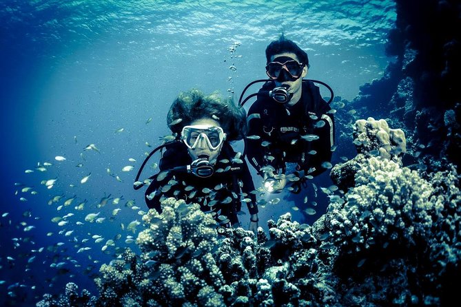 Try Scuba Dive (baptism of the sea) - The Experience Review: Authentic Voices
