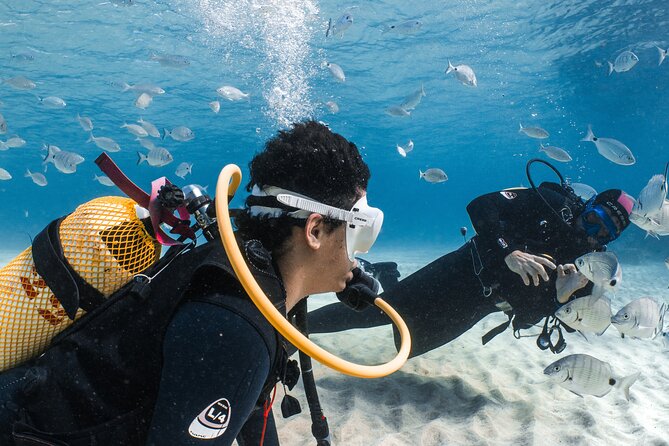 Try Scuba Diving | 1 dive - The Practical Details