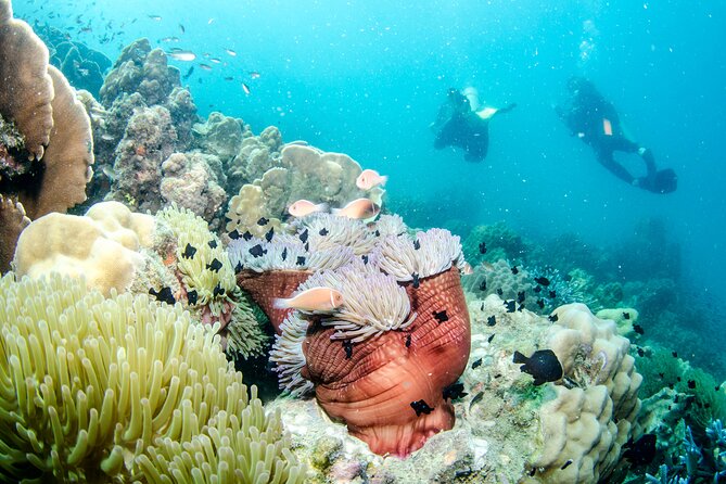 Try Scuba Diving 2 Dives Bang Bao - FAQ