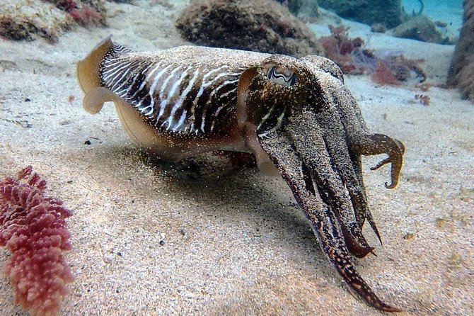 Try Scuba Diving | 2 dives - Detailed Breakdown of the Itinerary