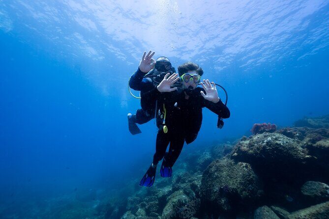 Try Scuba Diving at Cook Island  Guided Ocean Dive with Turtles - An Introduction to the Experience