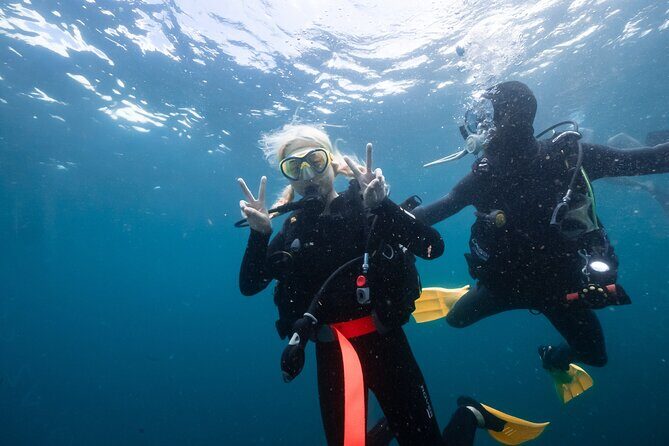 Try Scuba Diving at Cook Island  Guided Ocean Dive with Turtles - A Closer Look at the Itinerary