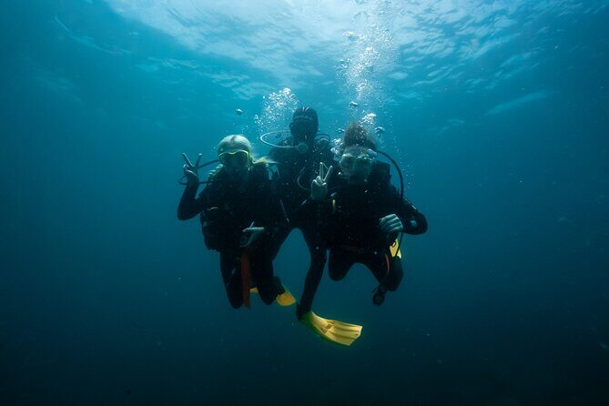Try Scuba Diving at Cook Island  Guided Ocean Dive with Turtles - Final Thoughts: Who Should Consider This Tour?