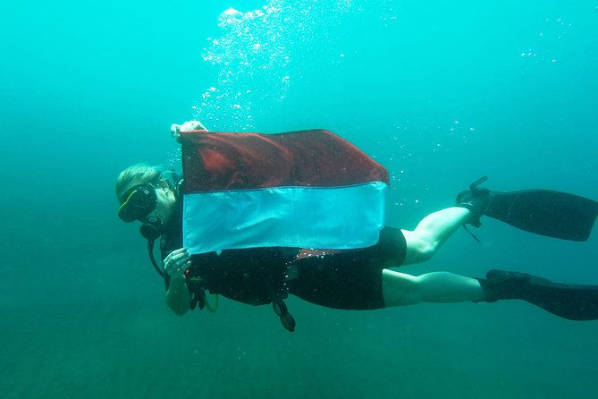Try Scuba Diving at Tulamben Shipwreck - Authenticity and Review Insights