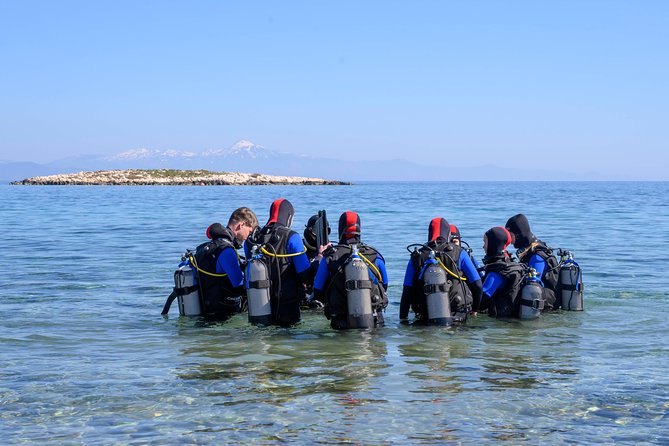 Try Scuba Diving, Beginners Experience Review - Activity Overview and Inclusions