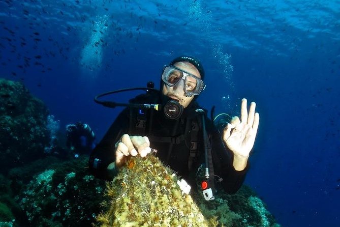 Try Scuba Diving - Exploring Try Scuba Diving on Elba Island: An Honest Review
