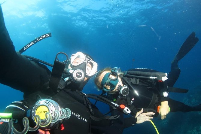 Try Scuba Diving - The Underwater Experience: What You Can Expect