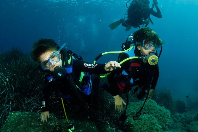 Try Scuba Diving - Who Will Love This Experience?