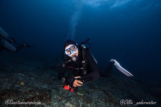 Try Scuba Diving for Beginners with manta rays (Non - Certified) - Who Should Consider This Tour?
